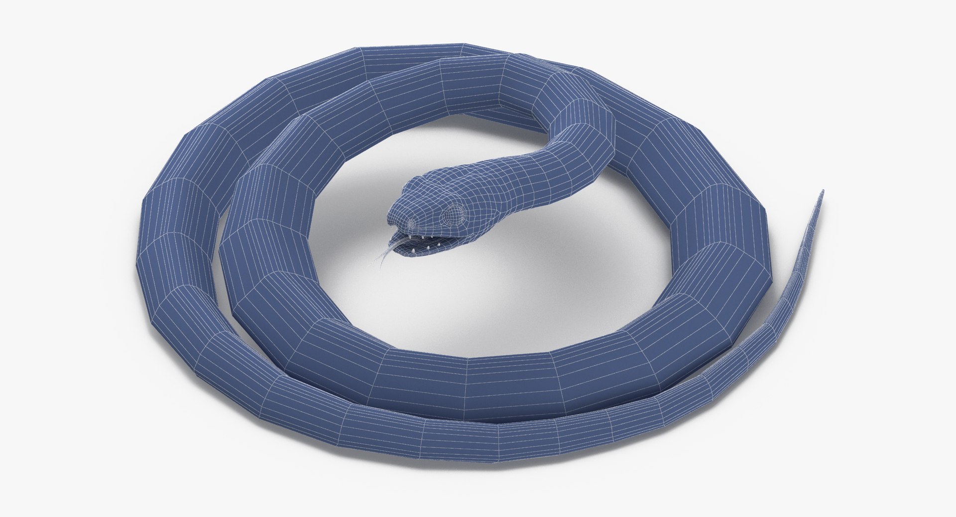 Black Snake Rigged 3d Model