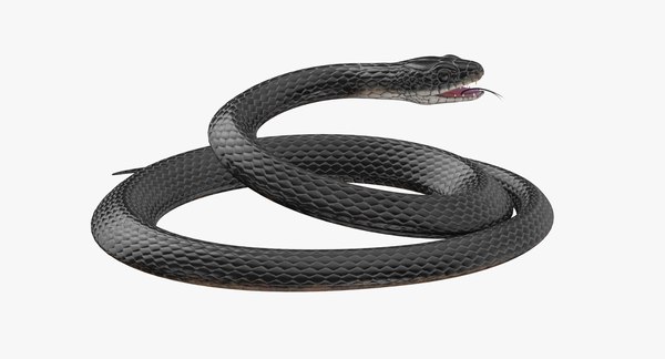 black snake rigged 3d model