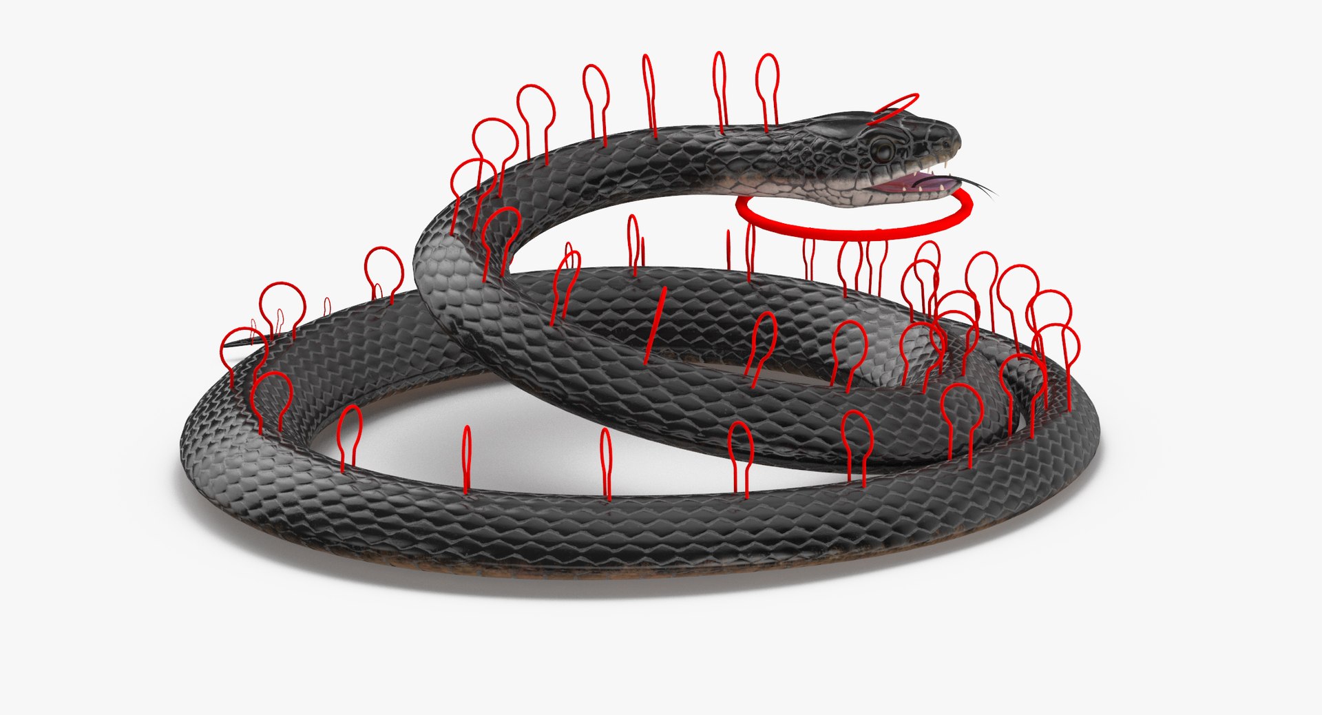 Black Snake Rigged 3d Model