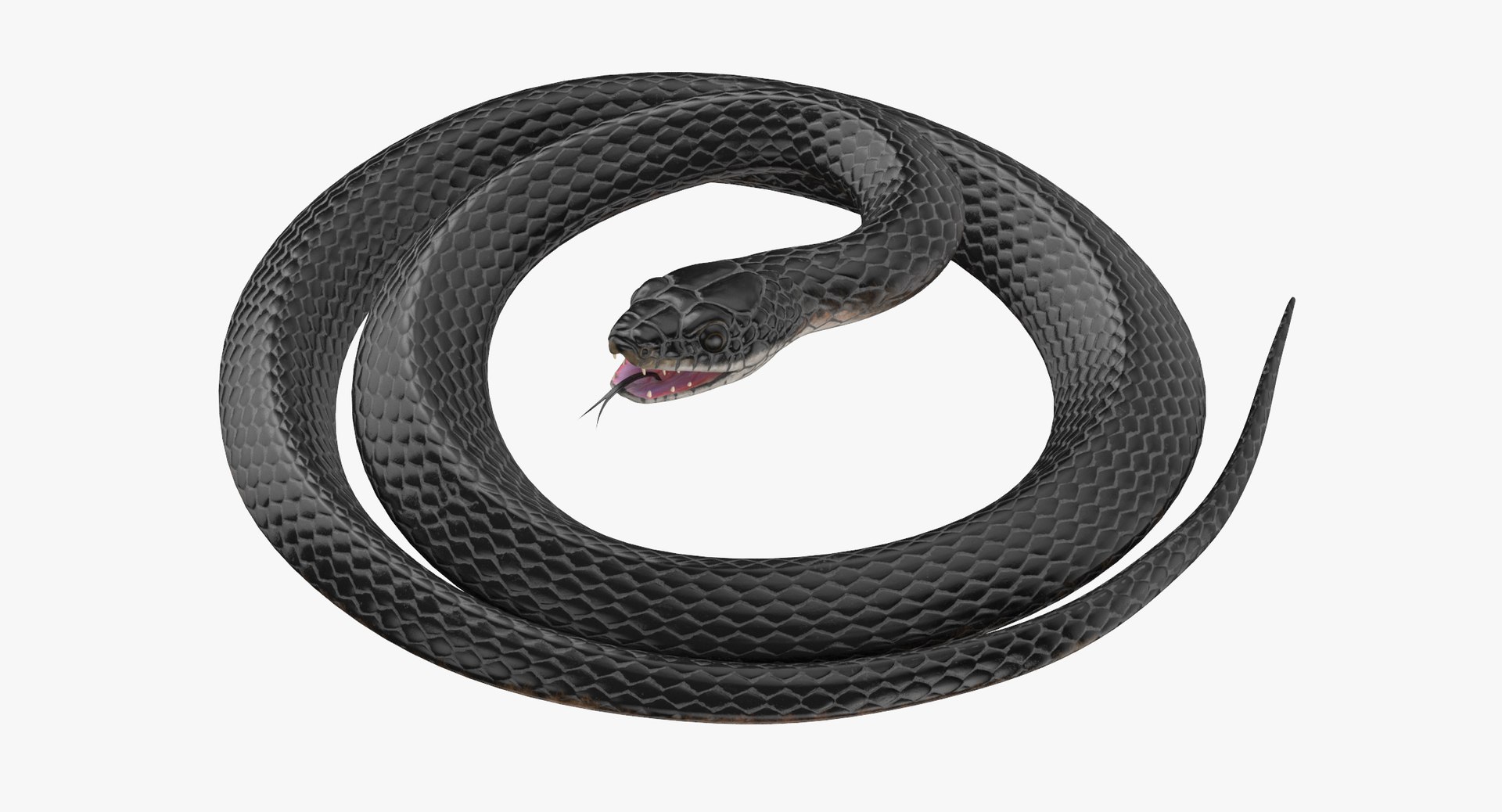 black snake rigged 3d model