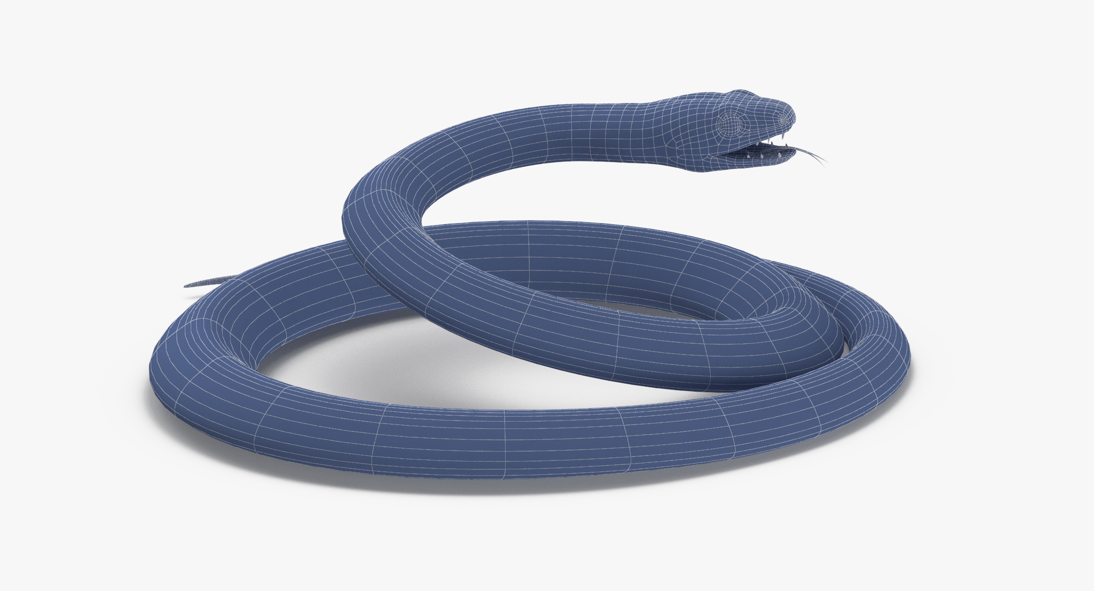 black snake rigged 3d model