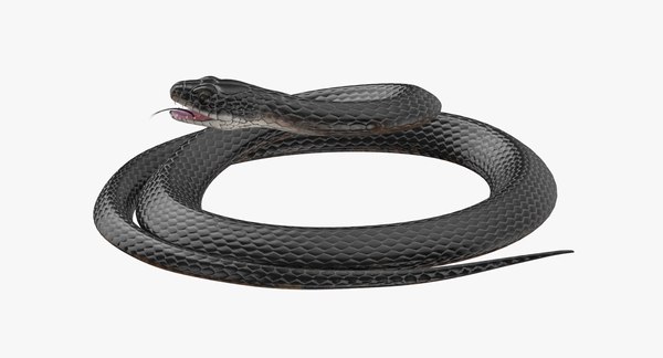 black snake rigged 3d model