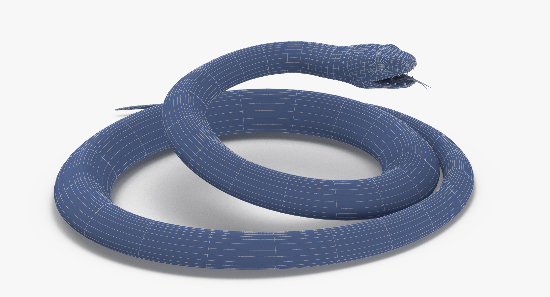 black snake rigged 3d model