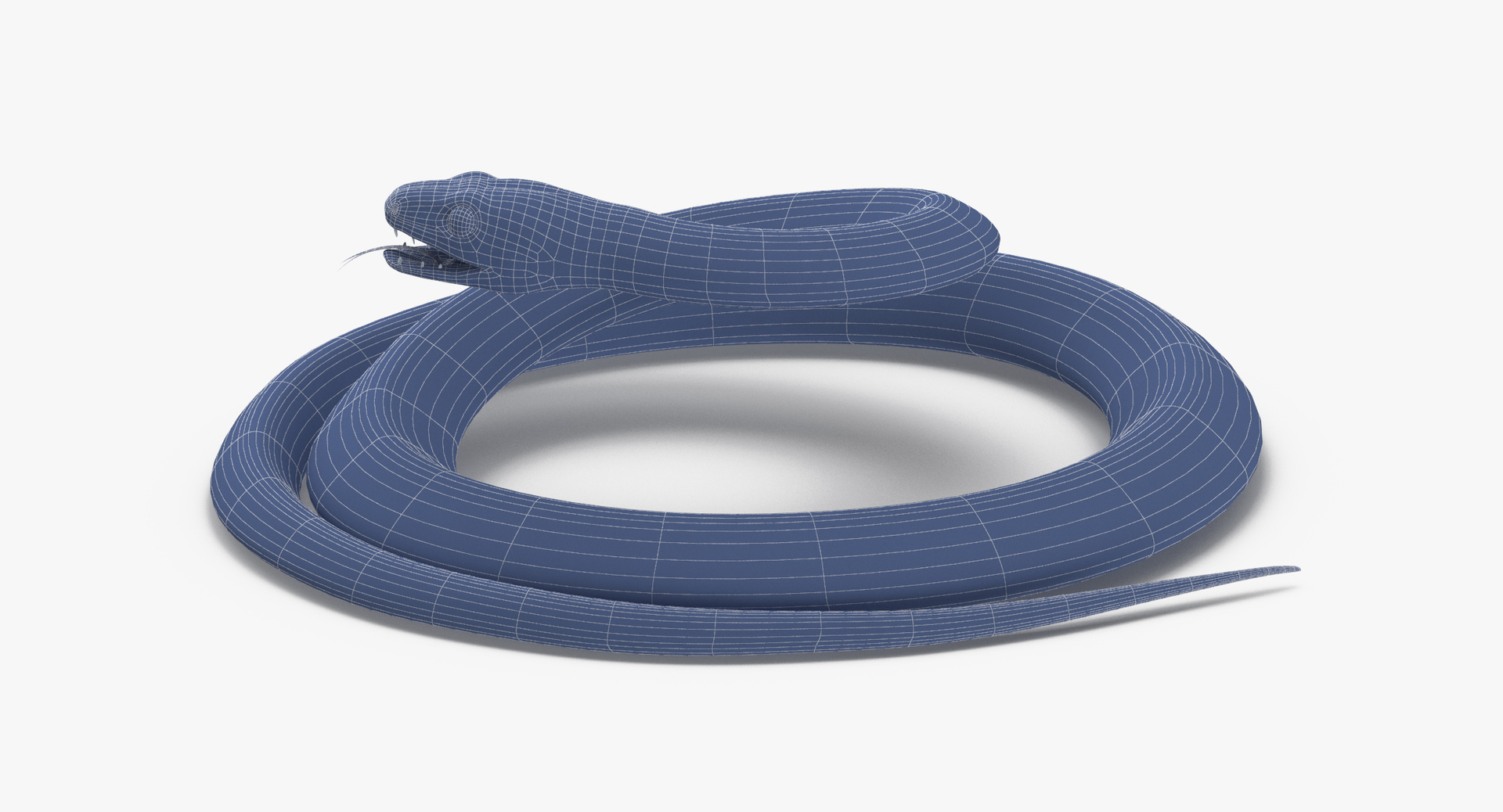 black snake rigged 3d model