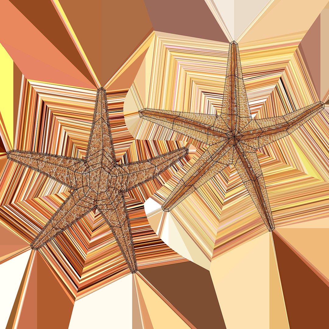 Starfish Polys 3D Model - TurboSquid 1526949