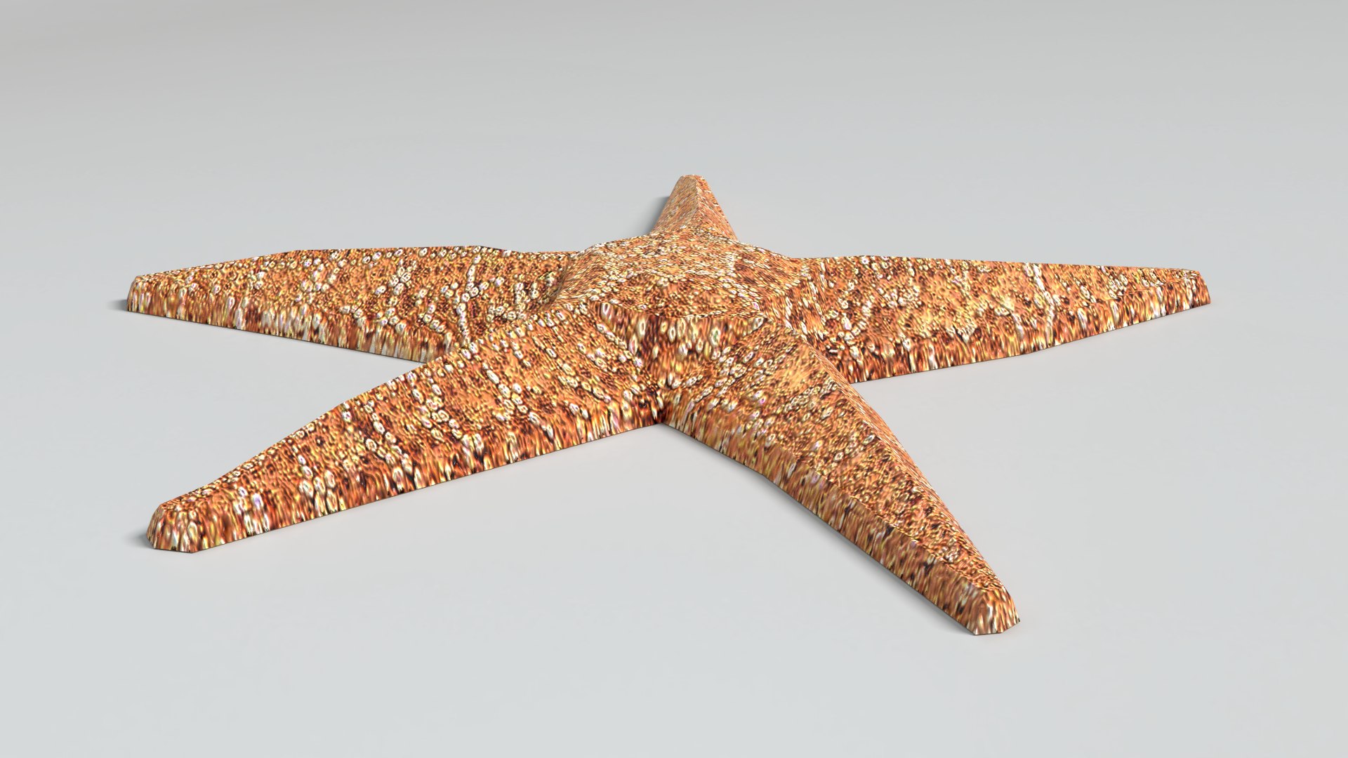 Starfish Polys 3D Model - TurboSquid 1526949