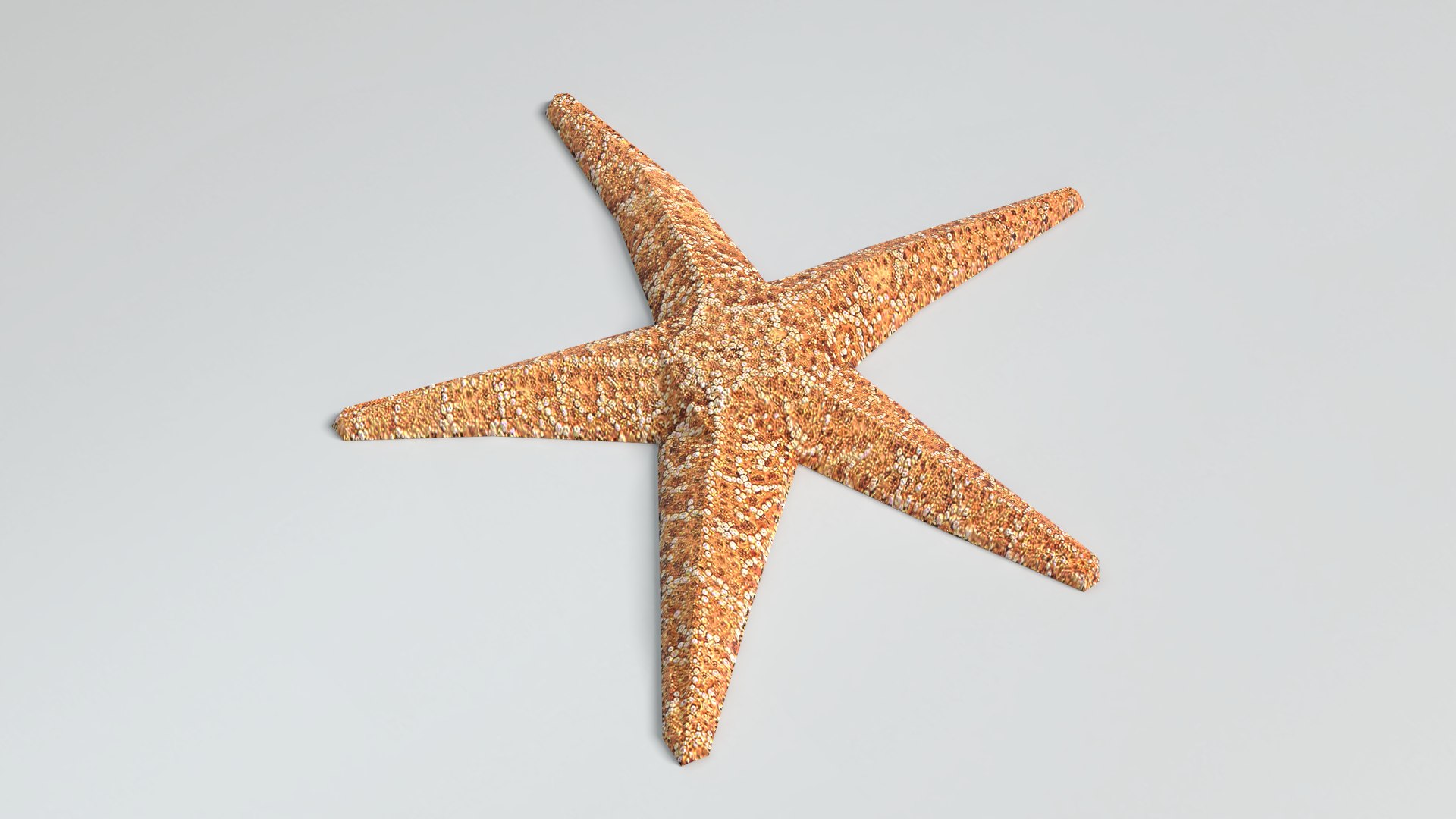 Starfish Polys 3D Model - TurboSquid 1526949