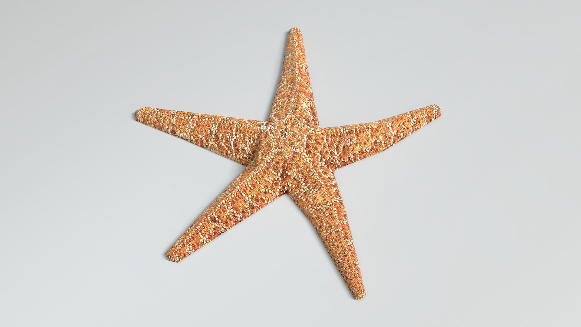 Starfish Polys 3D Model - TurboSquid 1526949