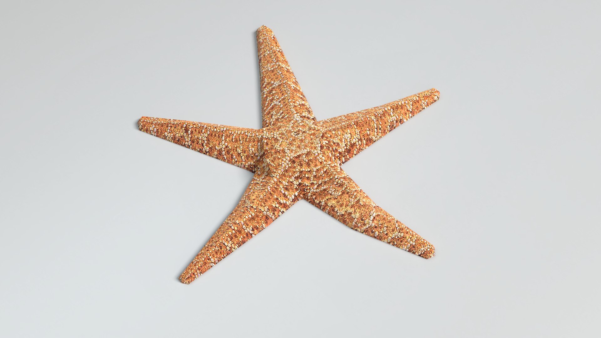 Starfish Polys 3D Model - TurboSquid 1526949