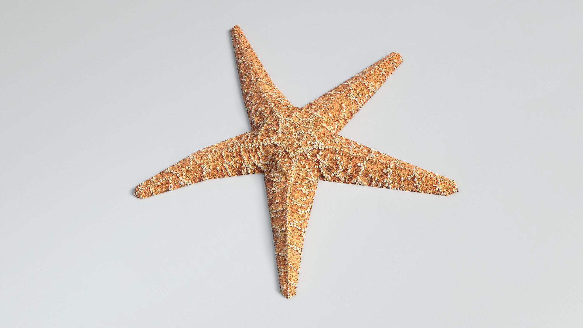Starfish Polys 3D Model - TurboSquid 1526949