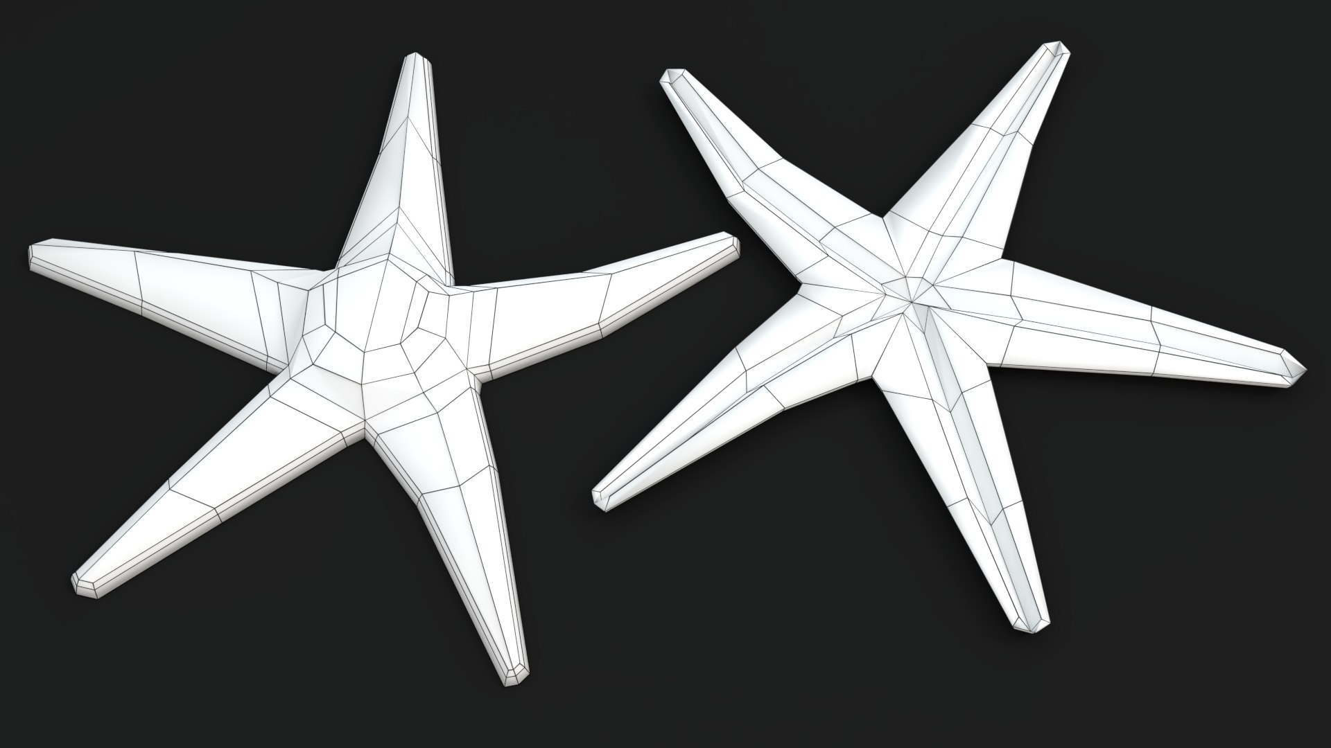 Starfish Polys 3D Model - TurboSquid 1526949