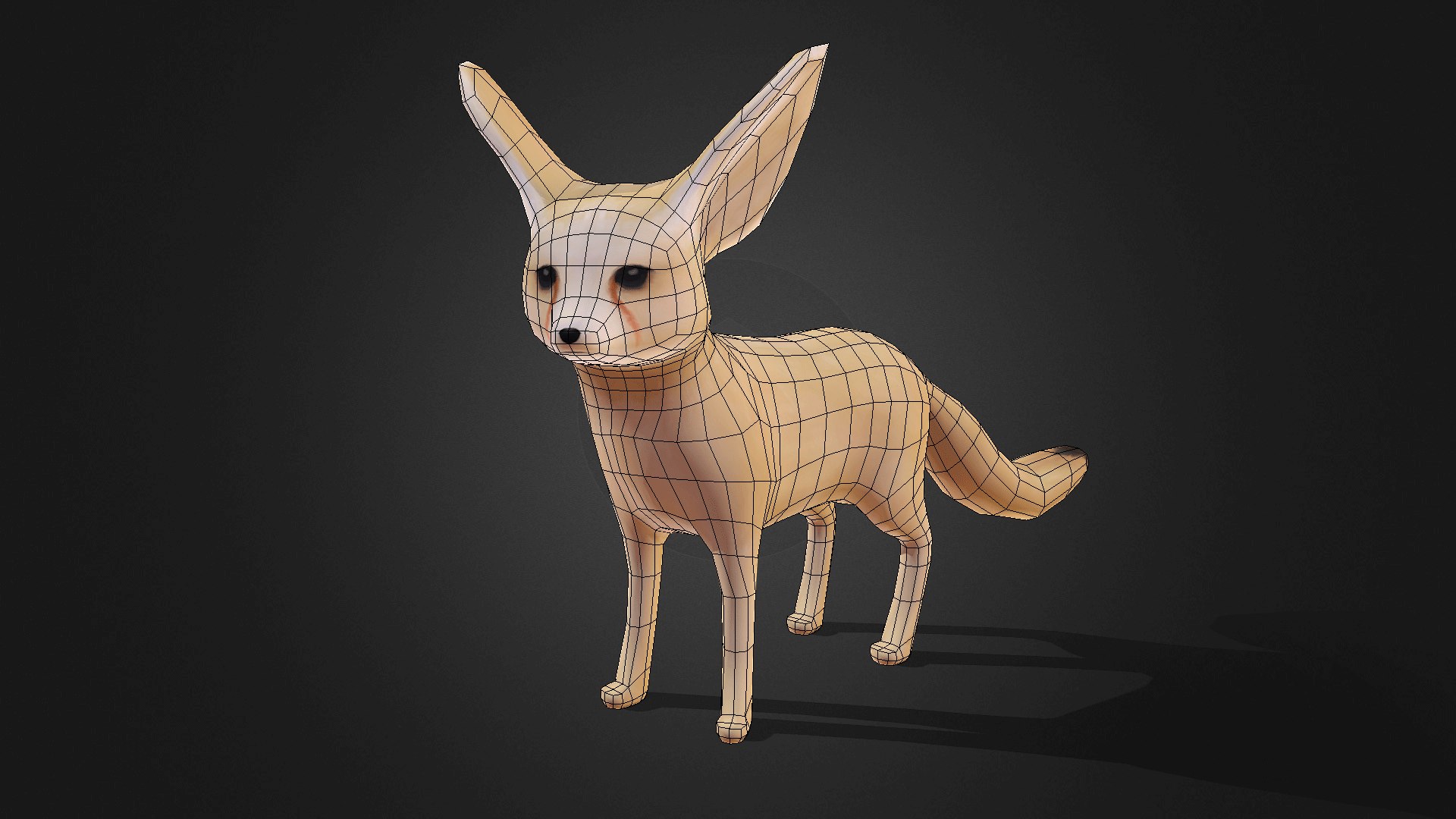 Fennec Fox 3D Model - TurboSquid 1687746