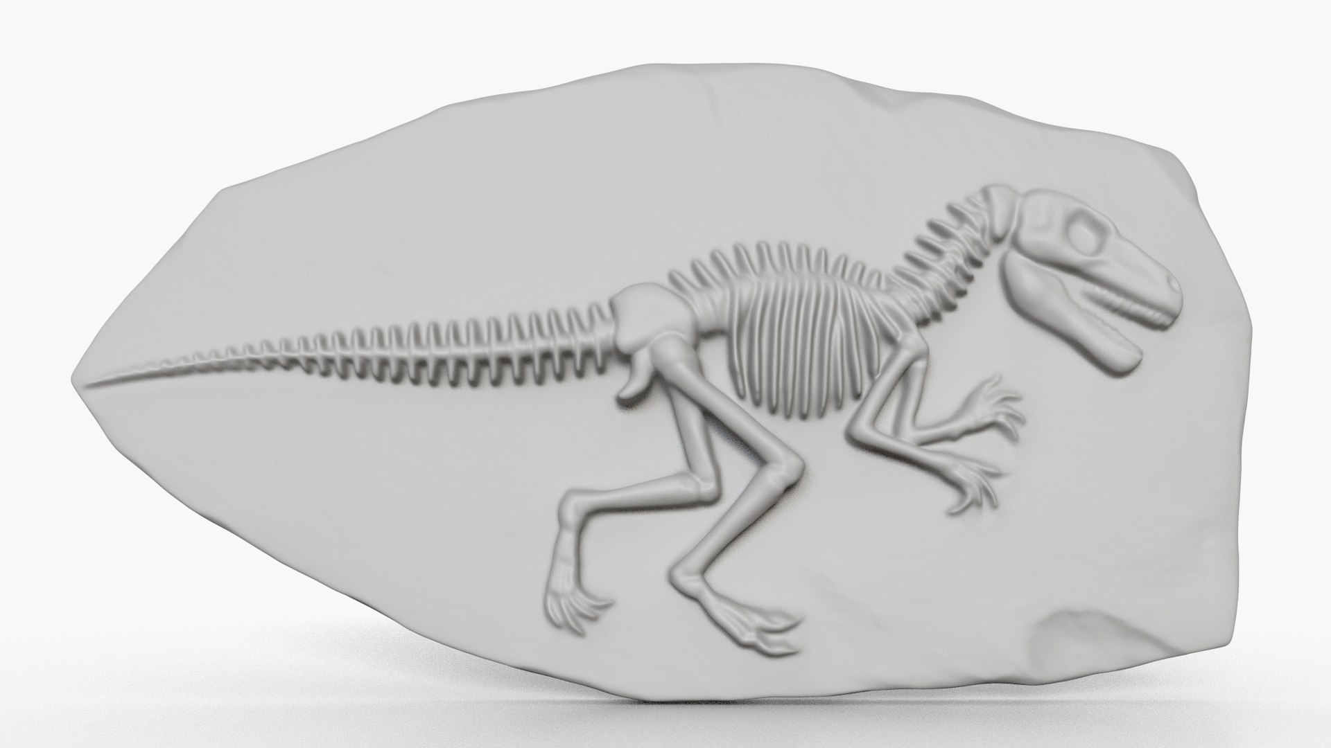 3D Model Dinosaur Fossil 003 - TurboSquid 2298326