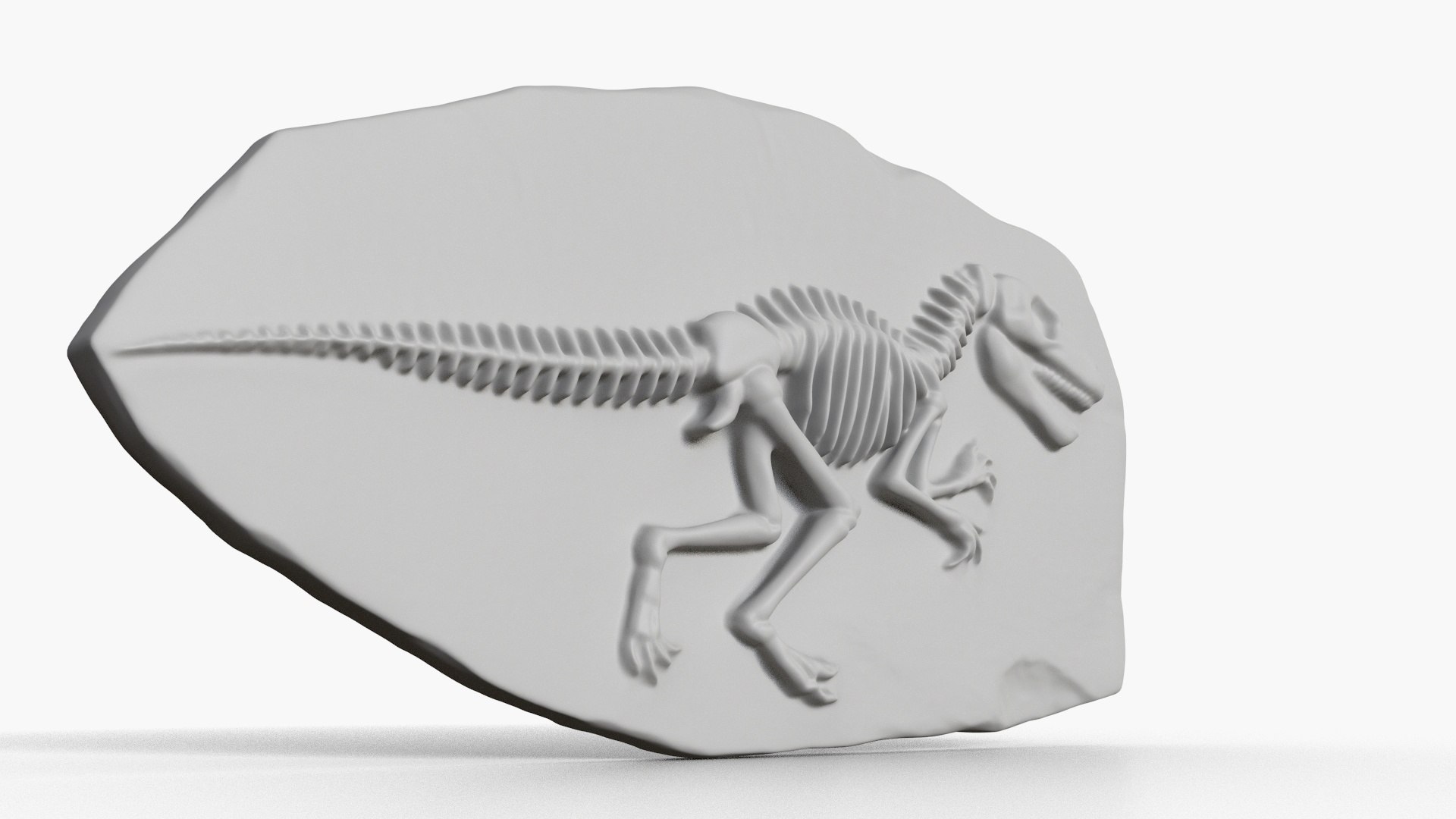 3D Model Dinosaur Fossil 003 - TurboSquid 2298326