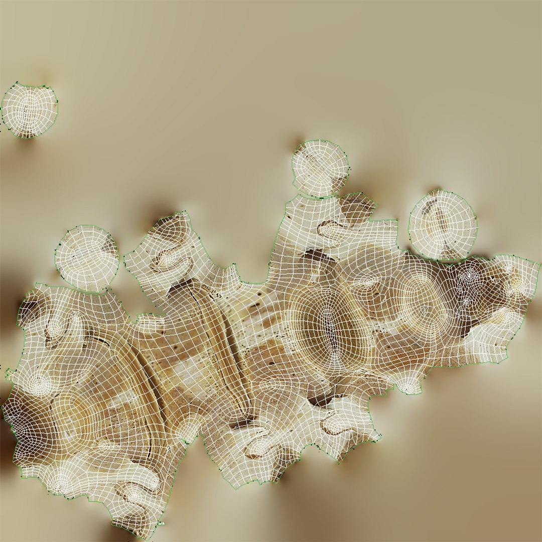 3d Animal Spine Model