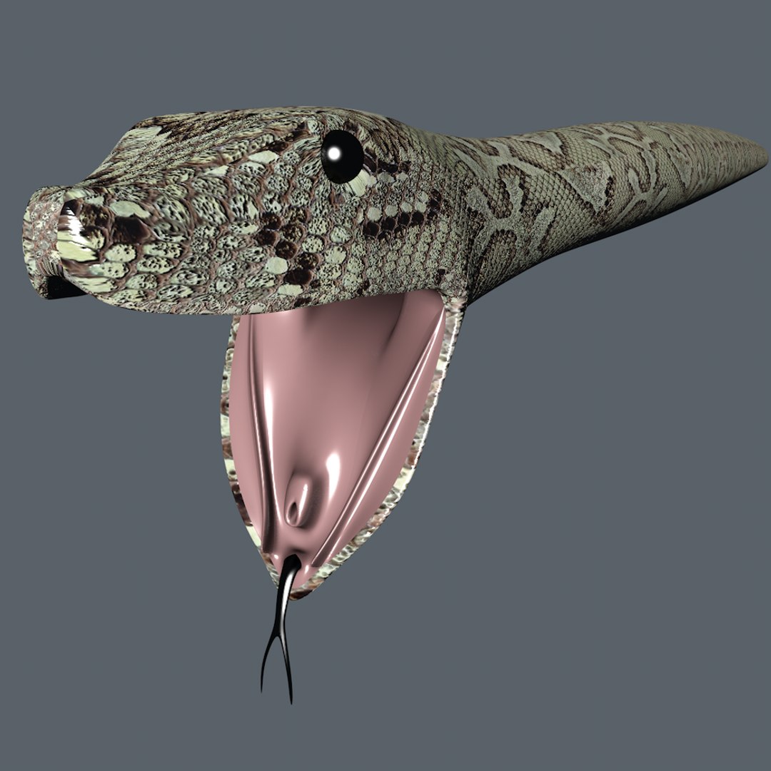 Snakes 3d 3ds