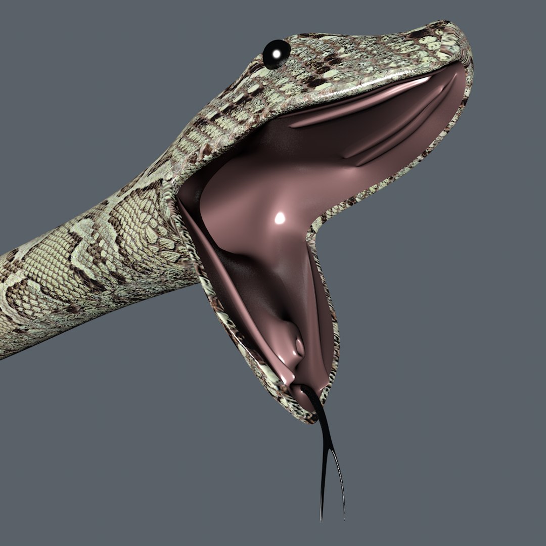 Snakes 3d 3ds