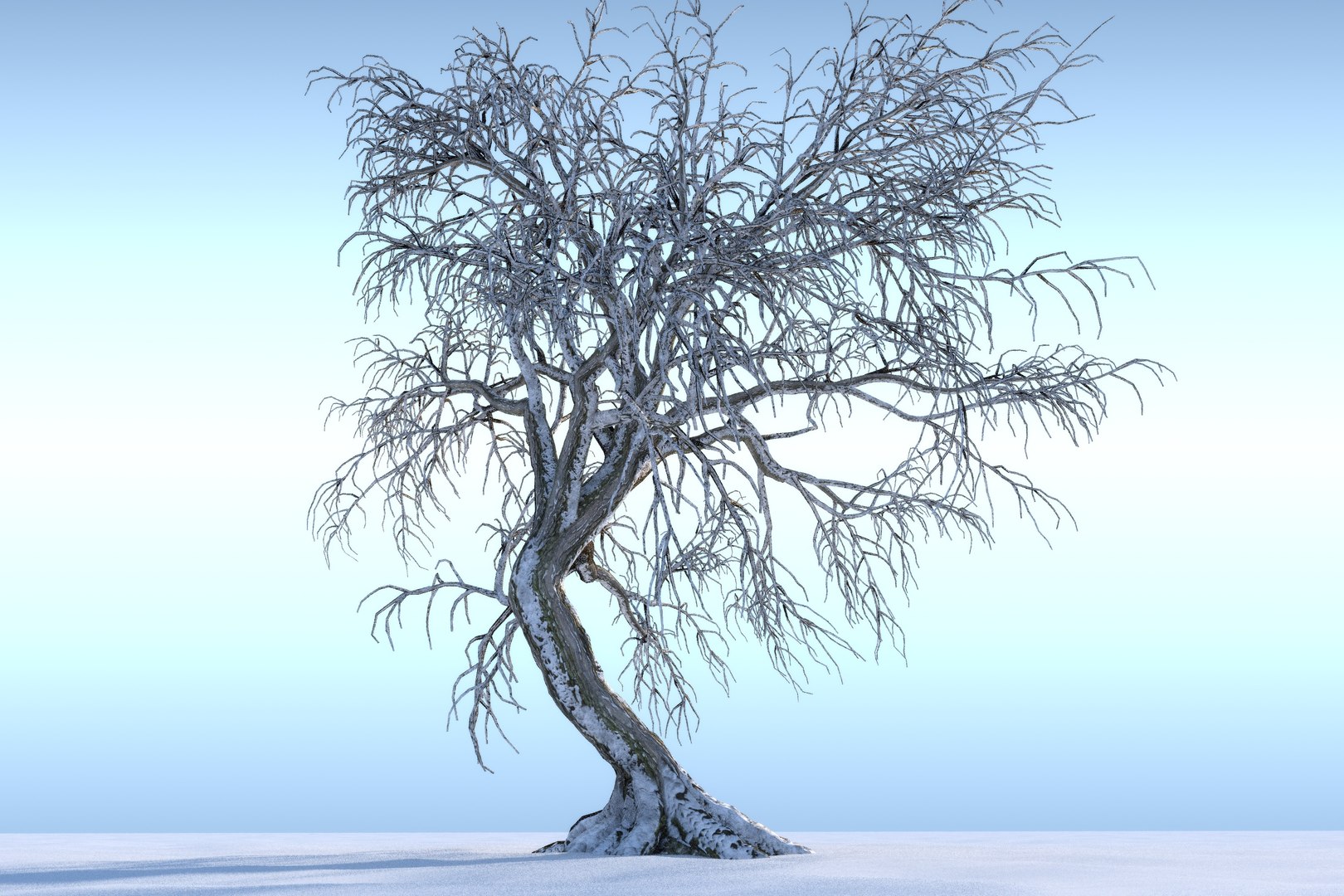 3D Winter Tree - TurboSquid 1351355