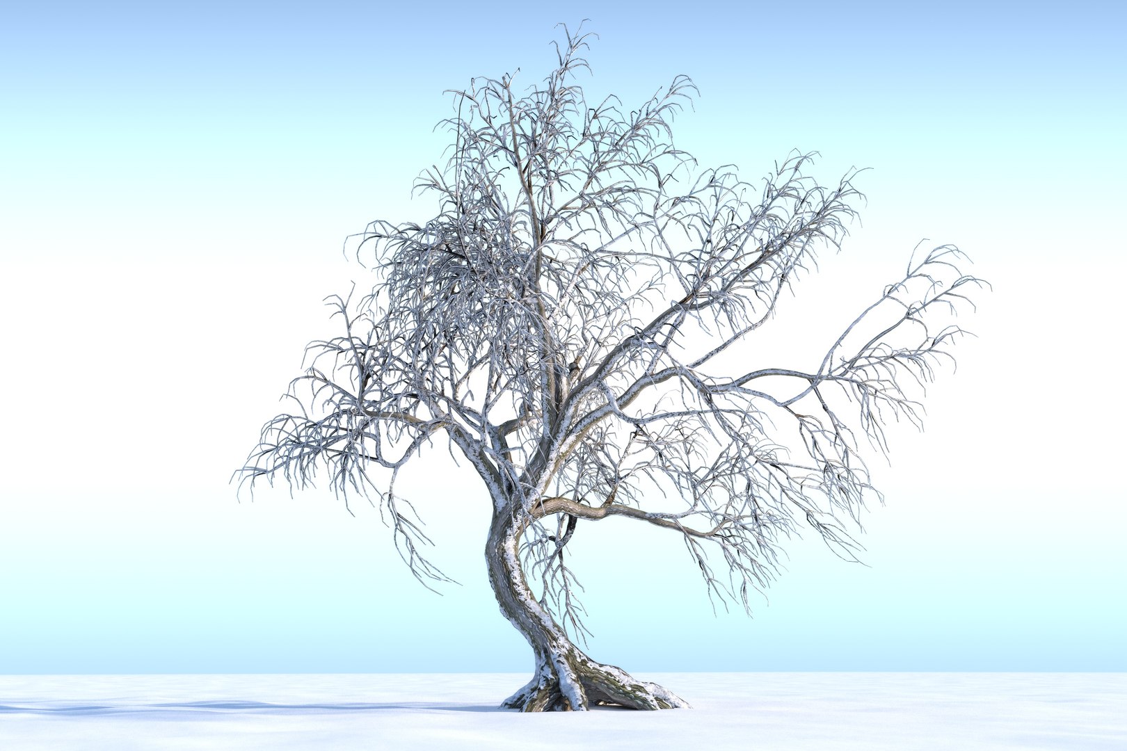 3D Winter Tree - TurboSquid 1351355