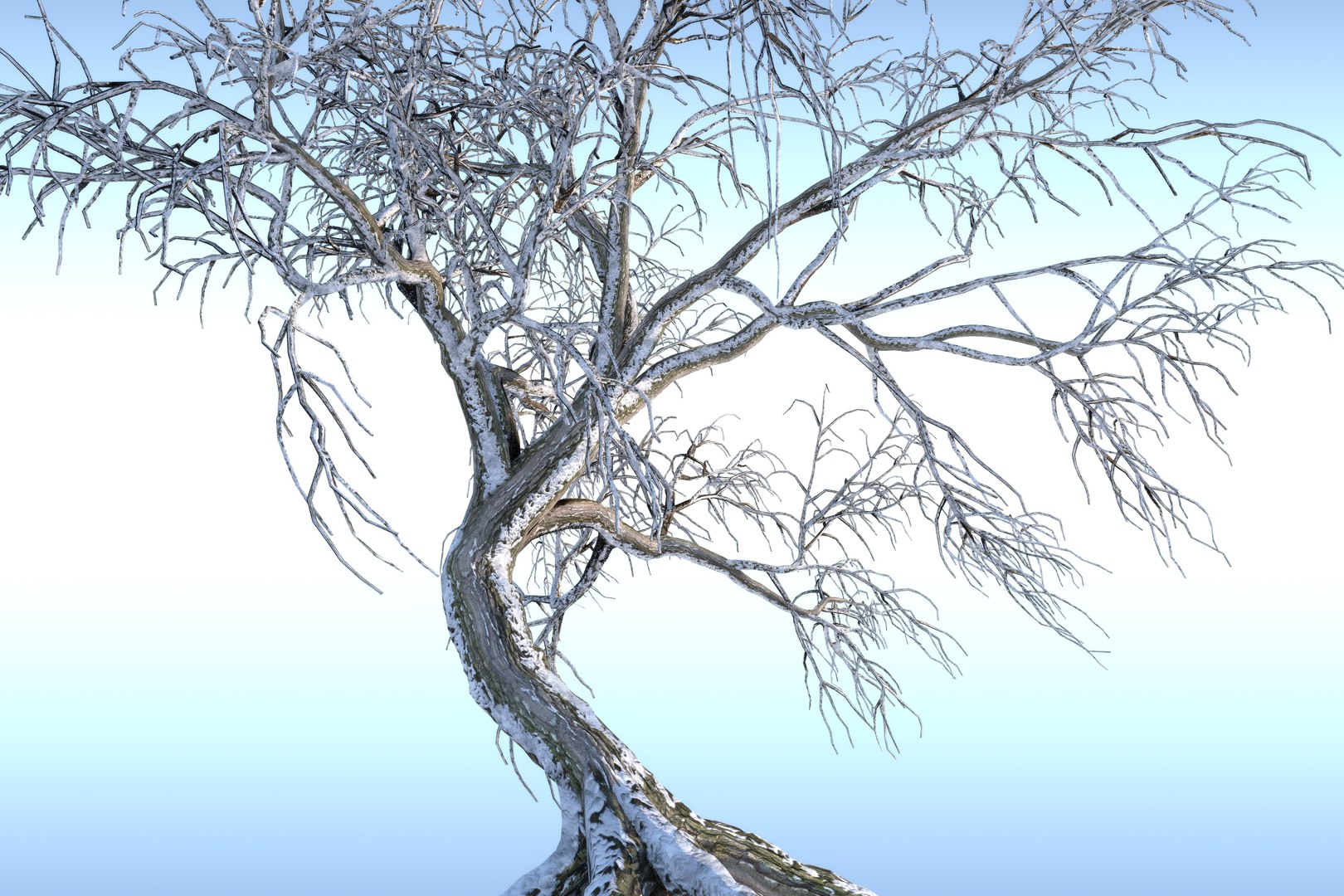 3D Winter Tree - TurboSquid 1351355