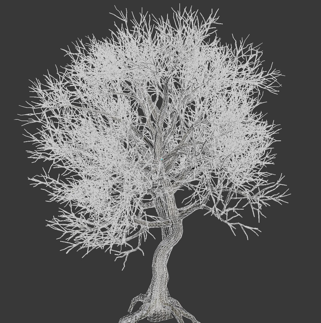 3D Winter Tree - TurboSquid 1351355