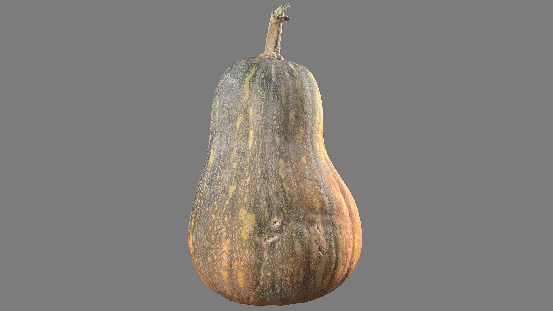 Pumpkin 3D Scanned 3D - TurboSquid 2054044