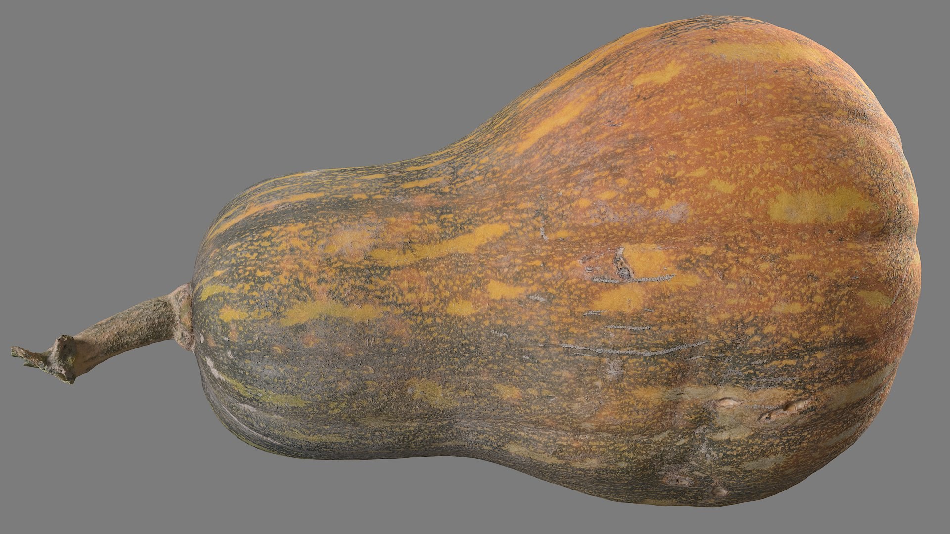 Pumpkin 3D Scanned 3D - TurboSquid 2054044