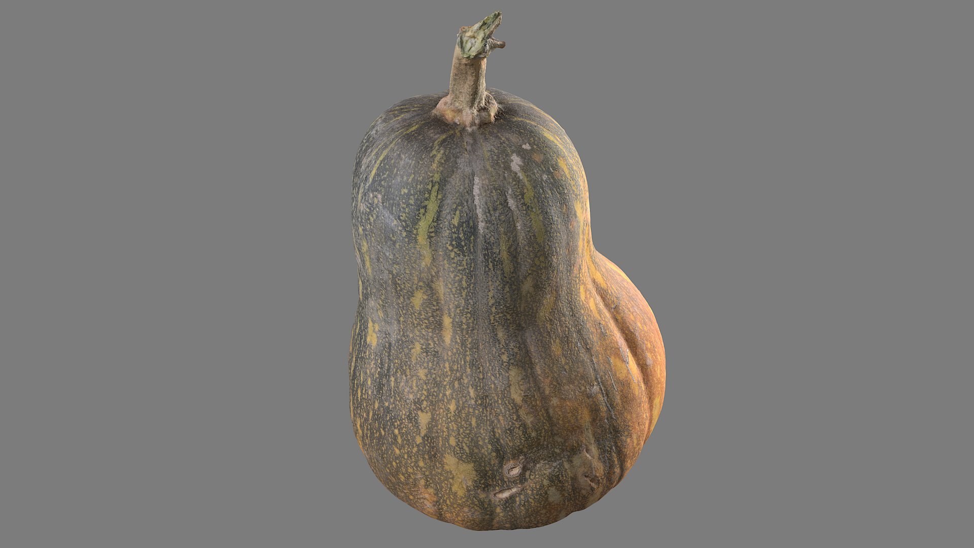 Pumpkin 3D Scanned 3D - TurboSquid 2054044