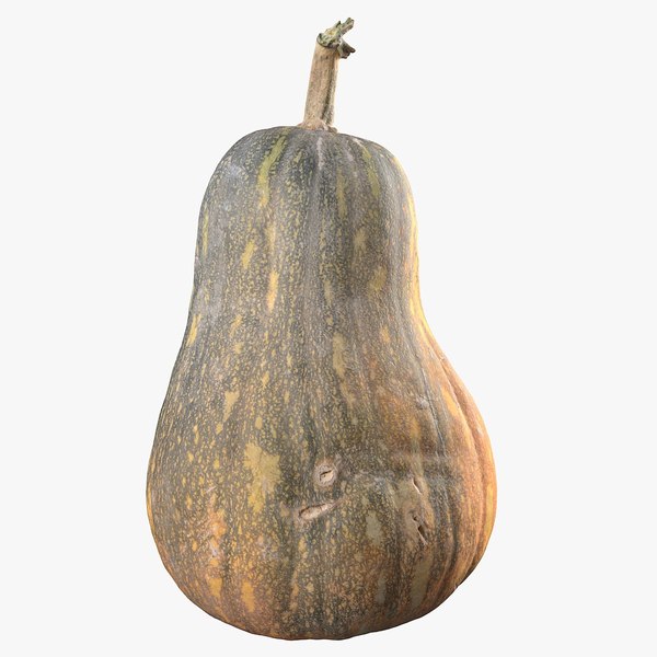 modelo 3d Pumpkin 3D Scanned - TurboSquid 2054044
