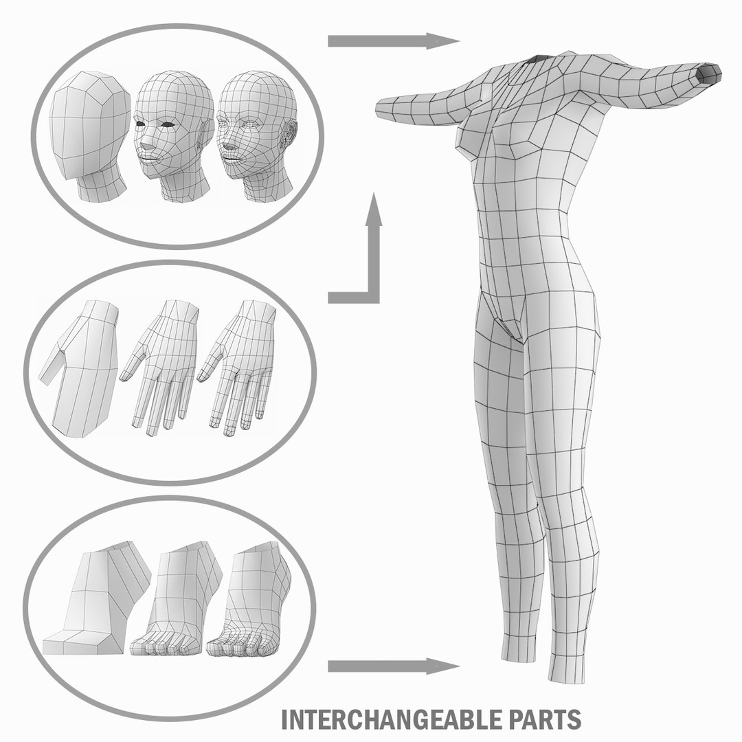 Base Mesh Human Female 3D - TurboSquid 1399297