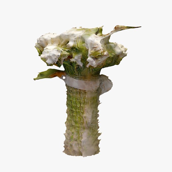 3D model scan flower - TurboSquid 1272158