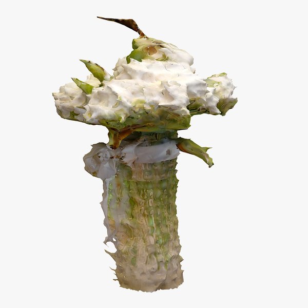 3D model scan flower - TurboSquid 1272158