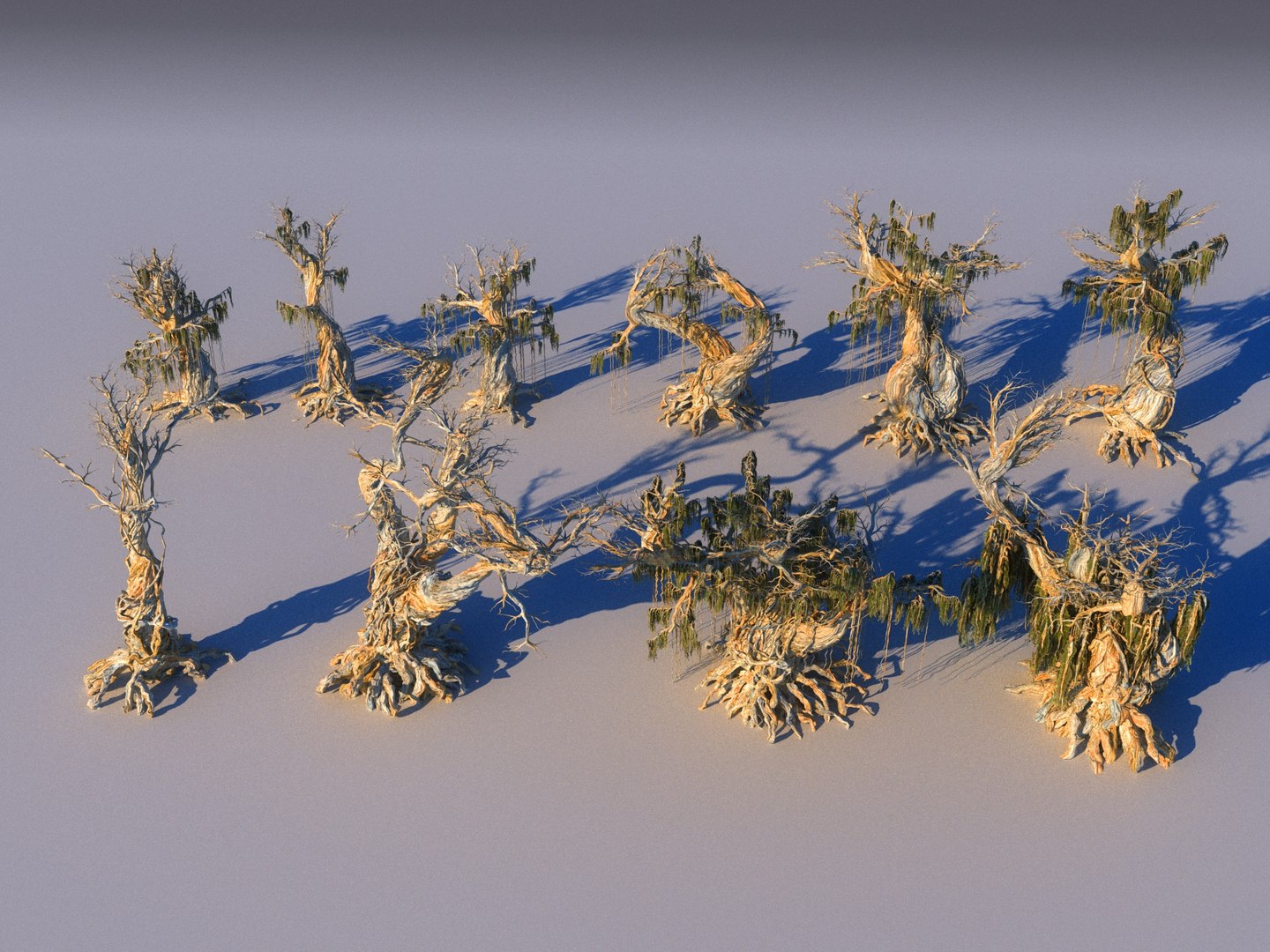 Spooky Mangroves Forest 3D Model - TurboSquid 2213751