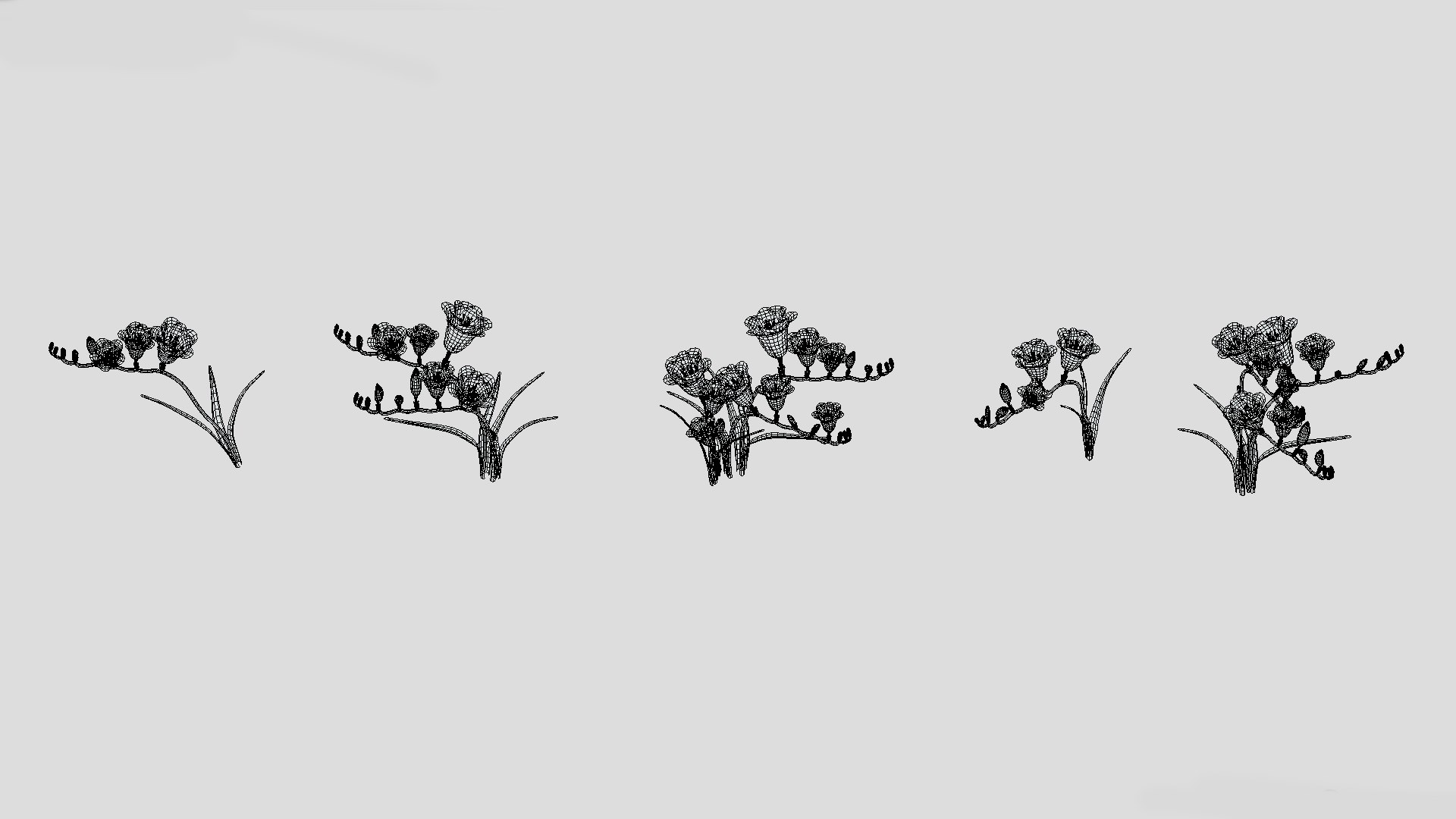 Freesia Flower Low Poly Model - TurboSquid 2317718