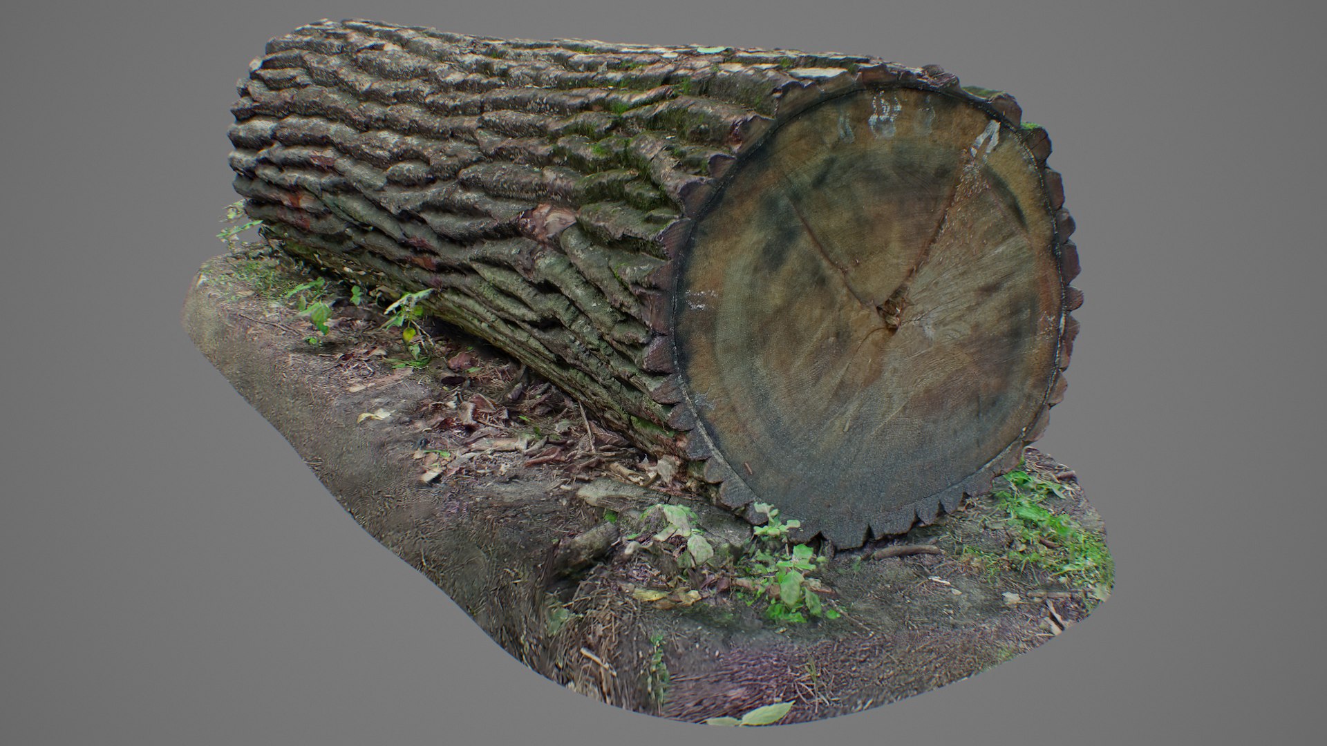 Wooden Log 3D Model - TurboSquid 1572296