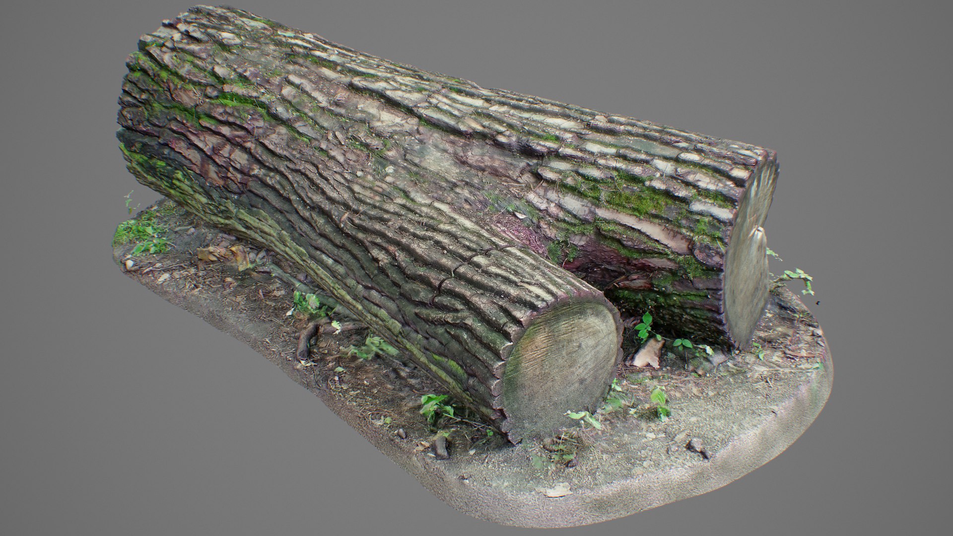 Wooden Log 3D Model - TurboSquid 1572296