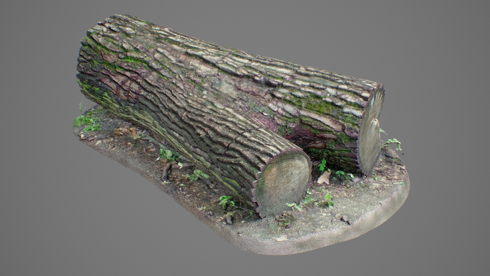 Wooden Log 3D Model - TurboSquid 1572296