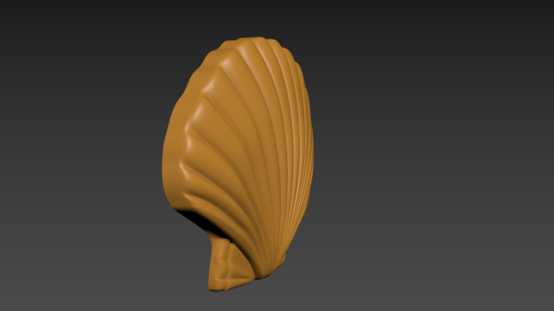 3D Seashell Shell Pearlshell Model - TurboSquid 2380135