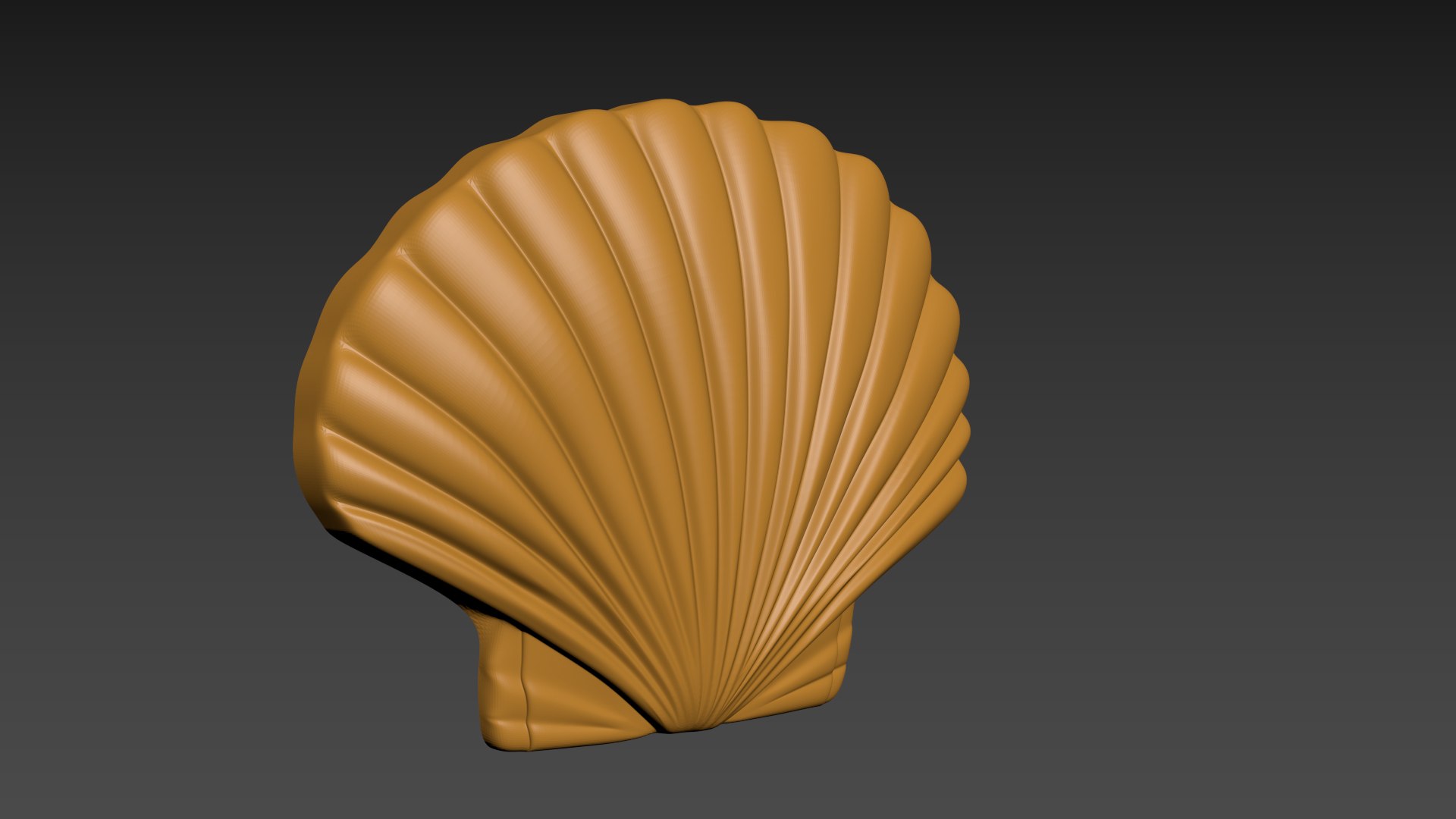 3D Seashell Shell Pearlshell Model - TurboSquid 2380135