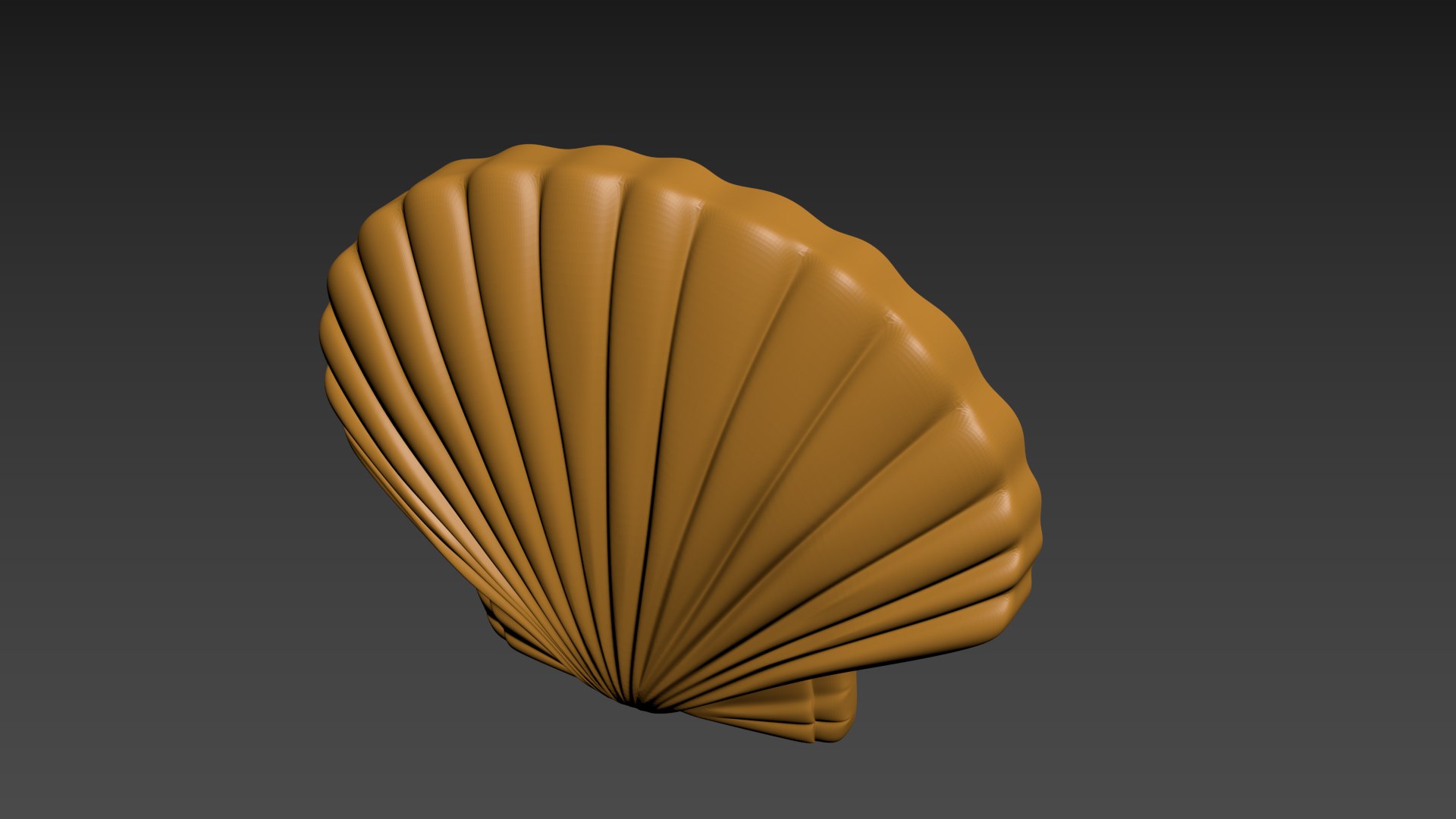 3D Seashell Shell Pearlshell Model - TurboSquid 2380135