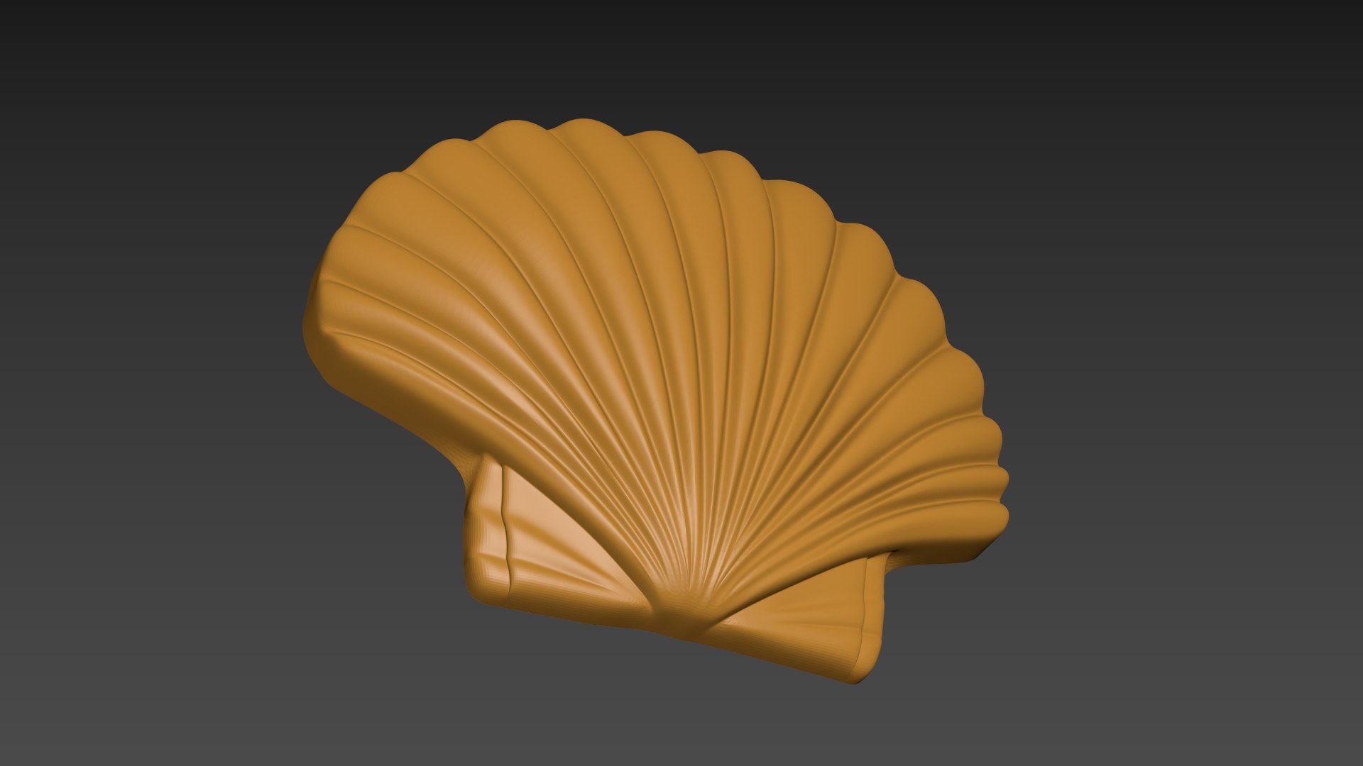 3D Seashell Shell Pearlshell Model - TurboSquid 2380135