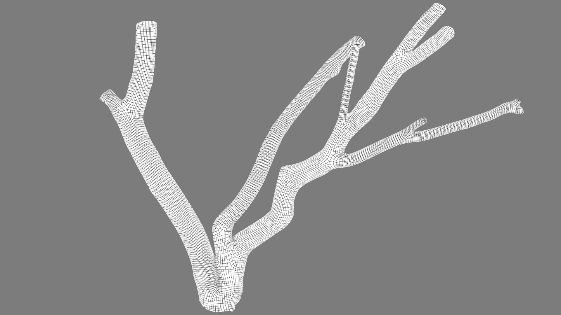 Scanned Tree Trunk 05 3D Model - TurboSquid 2115294