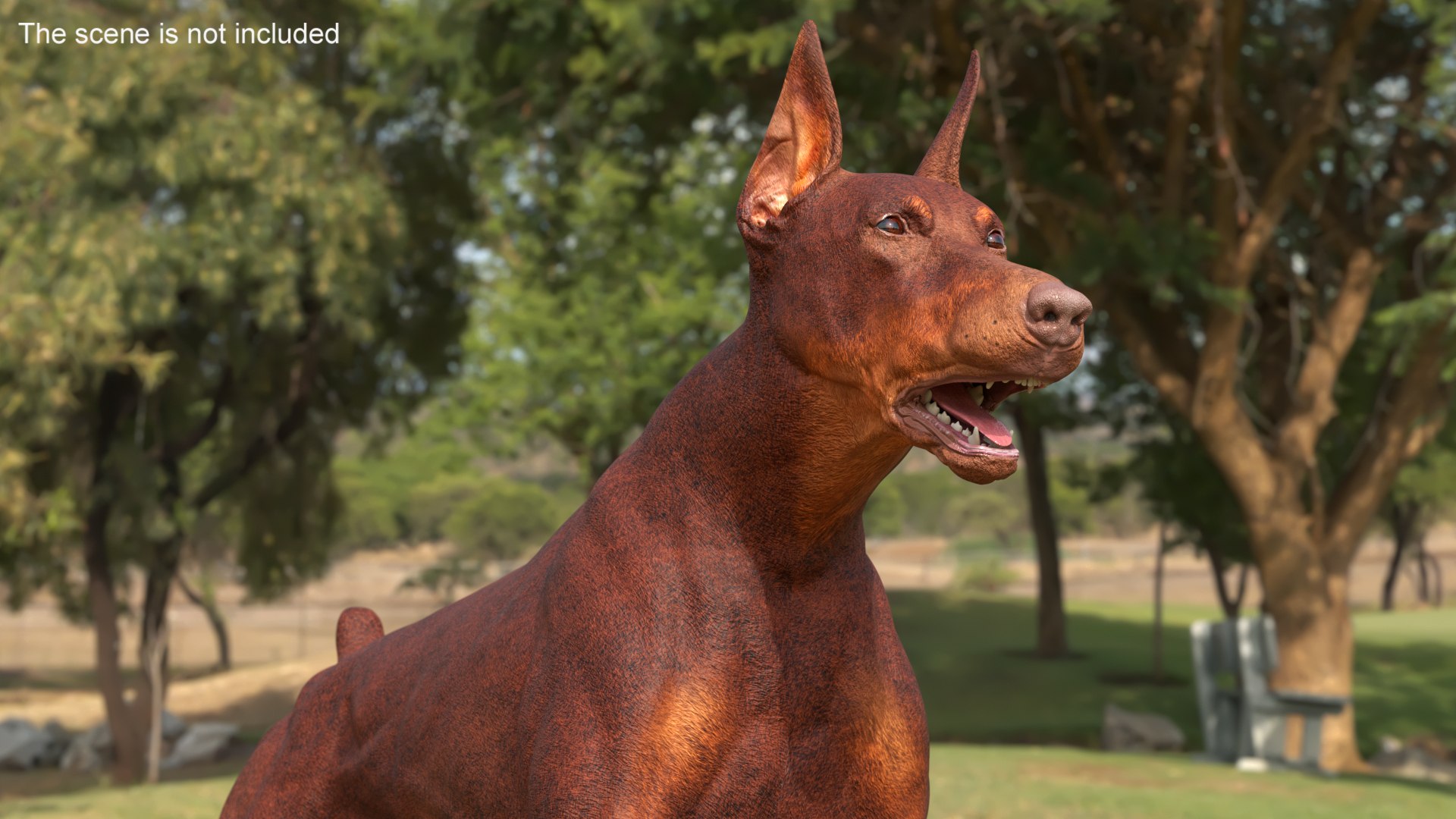 Doberman Dog Brown Running 3D - TurboSquid 2232806