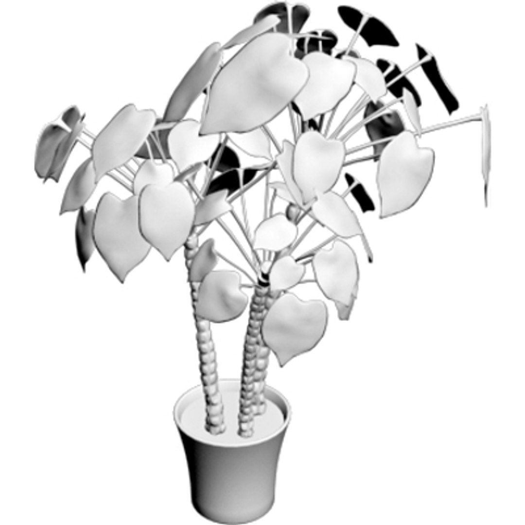 maya plant
