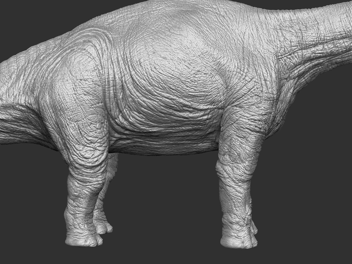 3D Diplodocus - TurboSquid 1294905