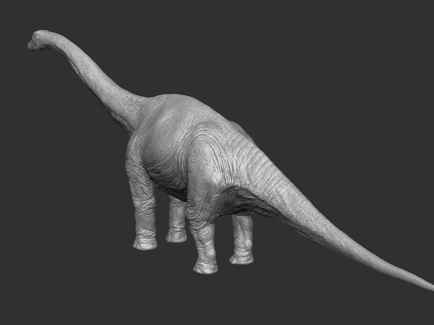3D Diplodocus - TurboSquid 1294905