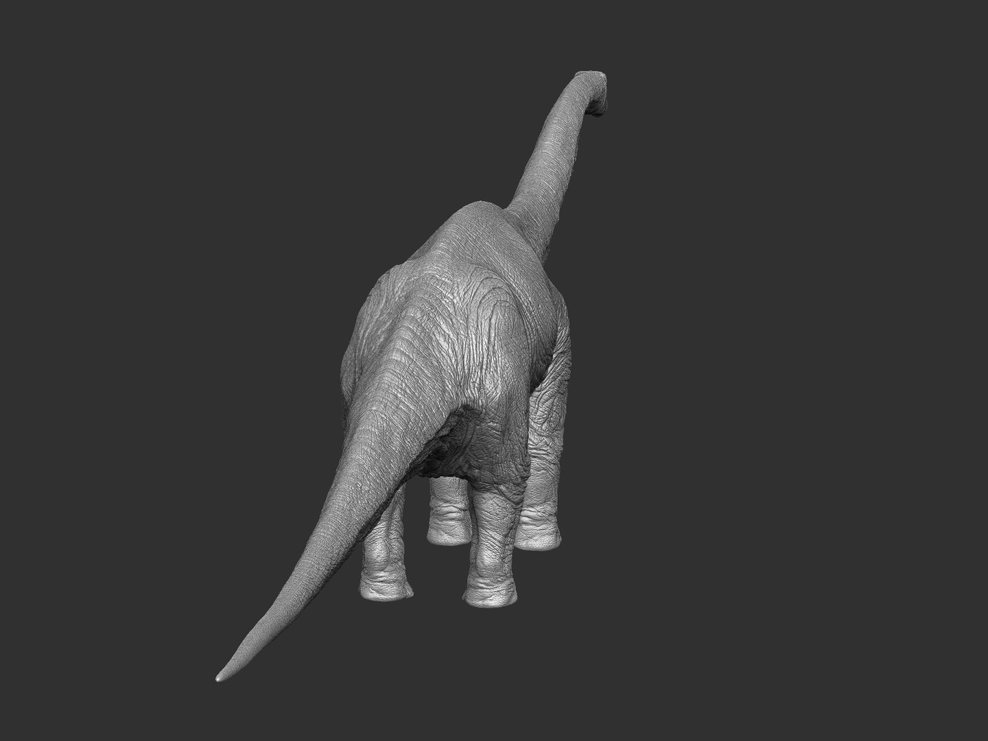 3D Diplodocus - TurboSquid 1294905