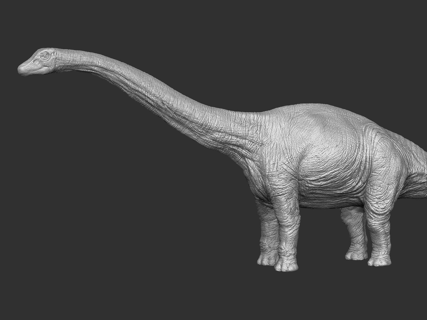 3D Diplodocus - TurboSquid 1294905
