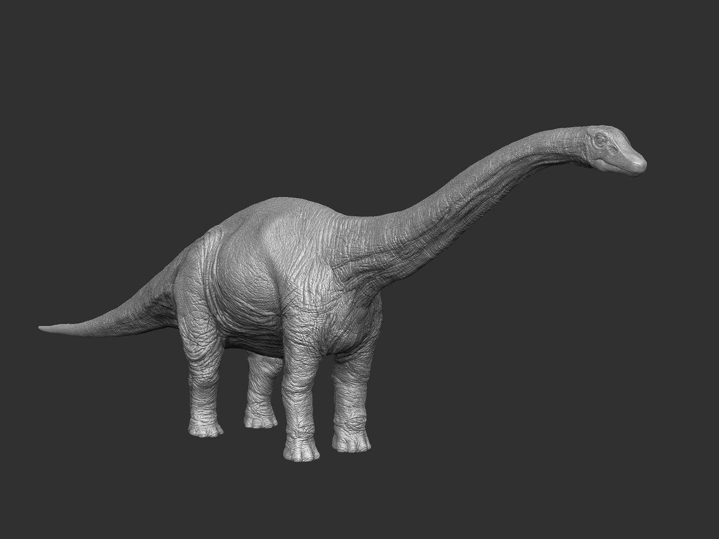 3D Diplodocus - TurboSquid 1294905