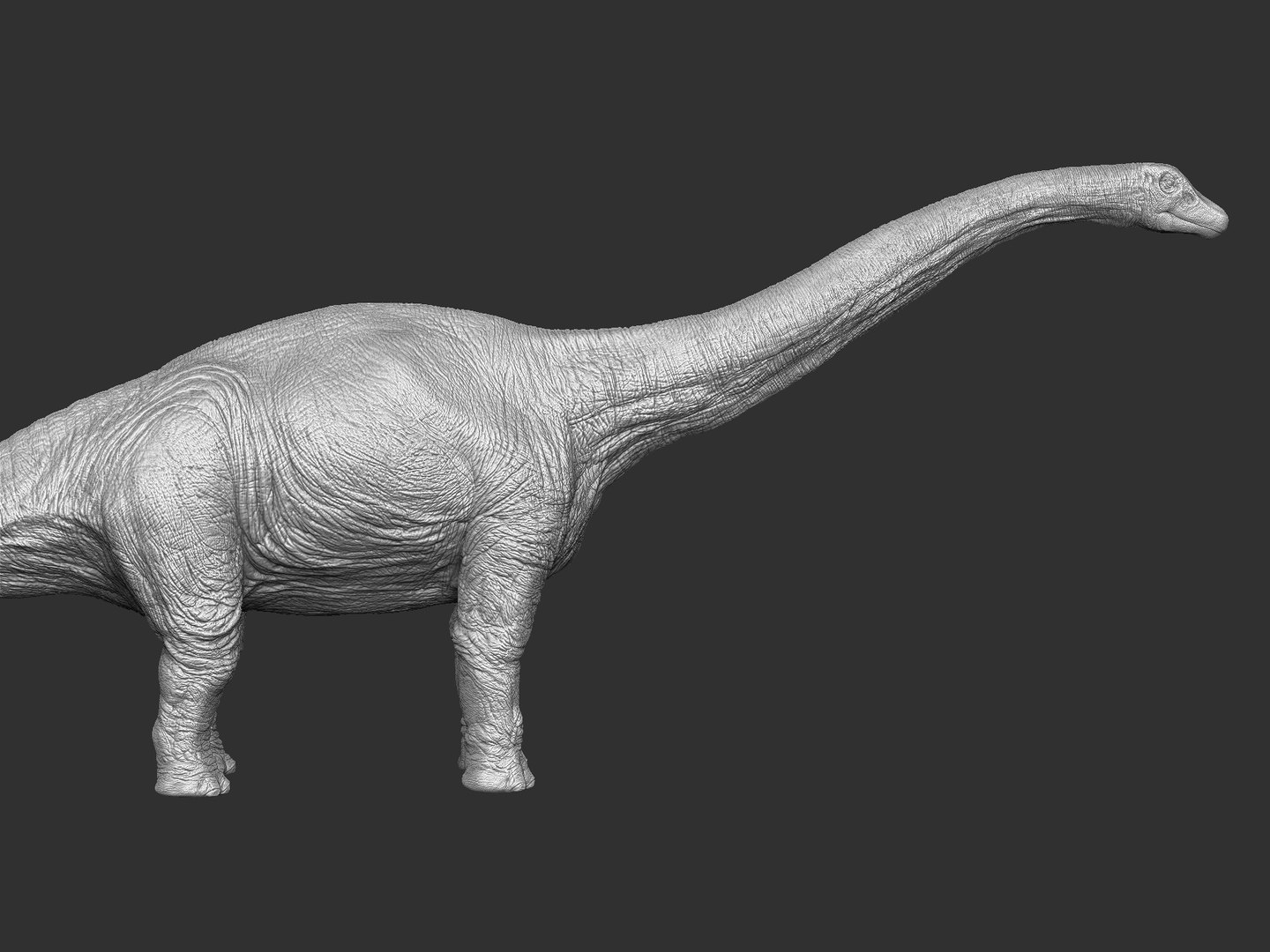 3D Diplodocus - TurboSquid 1294905